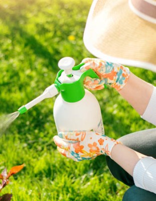 How To Get Rid of Pill Bugs in Your Home and Garden - Bob Vila