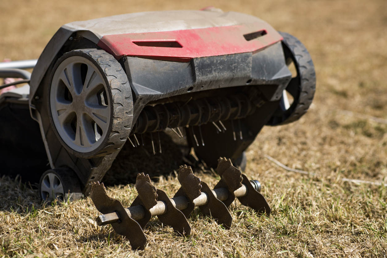 How Much Does Lawn Aeration Cost? - Bob Vila