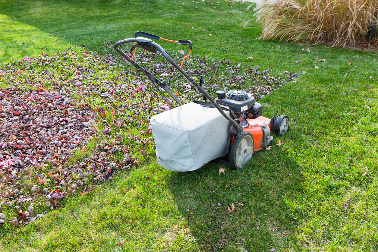 Why Mulching Leaves Is Better Than Raking—and How to Do It