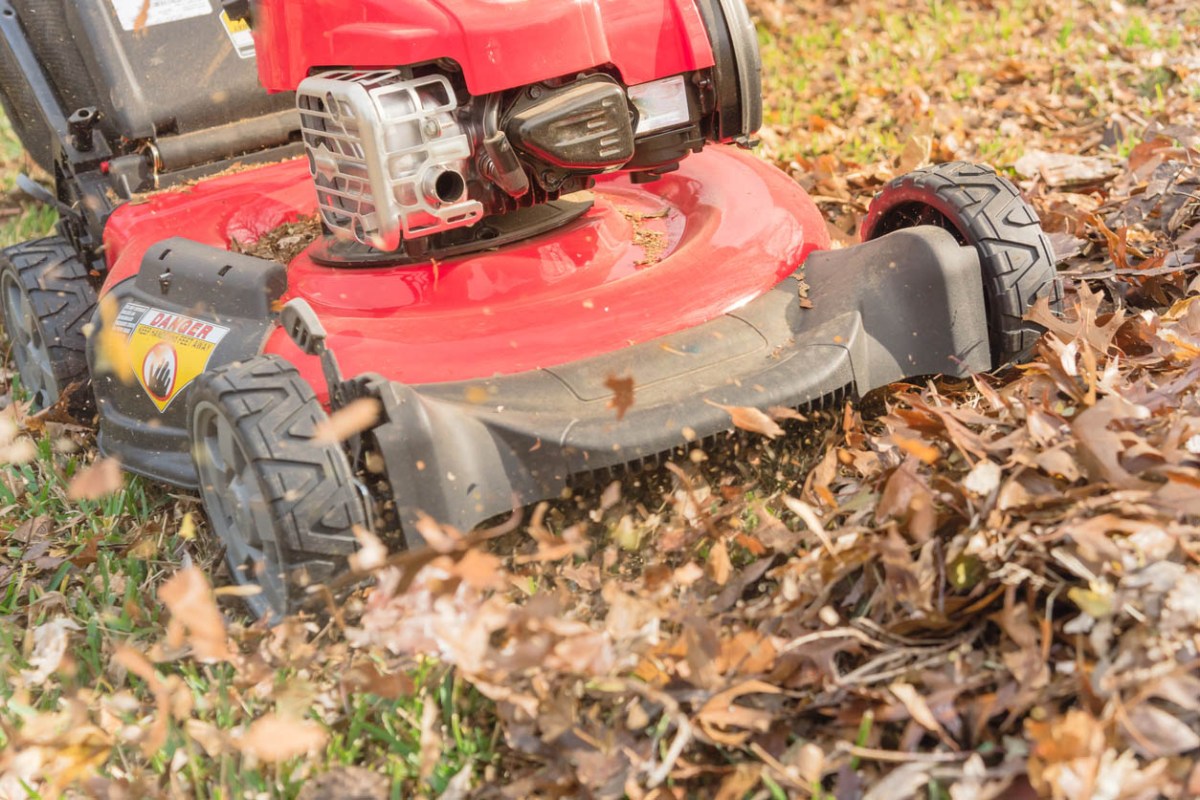 Why Mulching Leaves Is Better Than Raking—and How to Do It