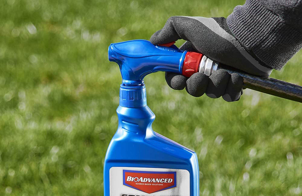 The Best Grub Killers You Can Get - Reviews by Bob Vila