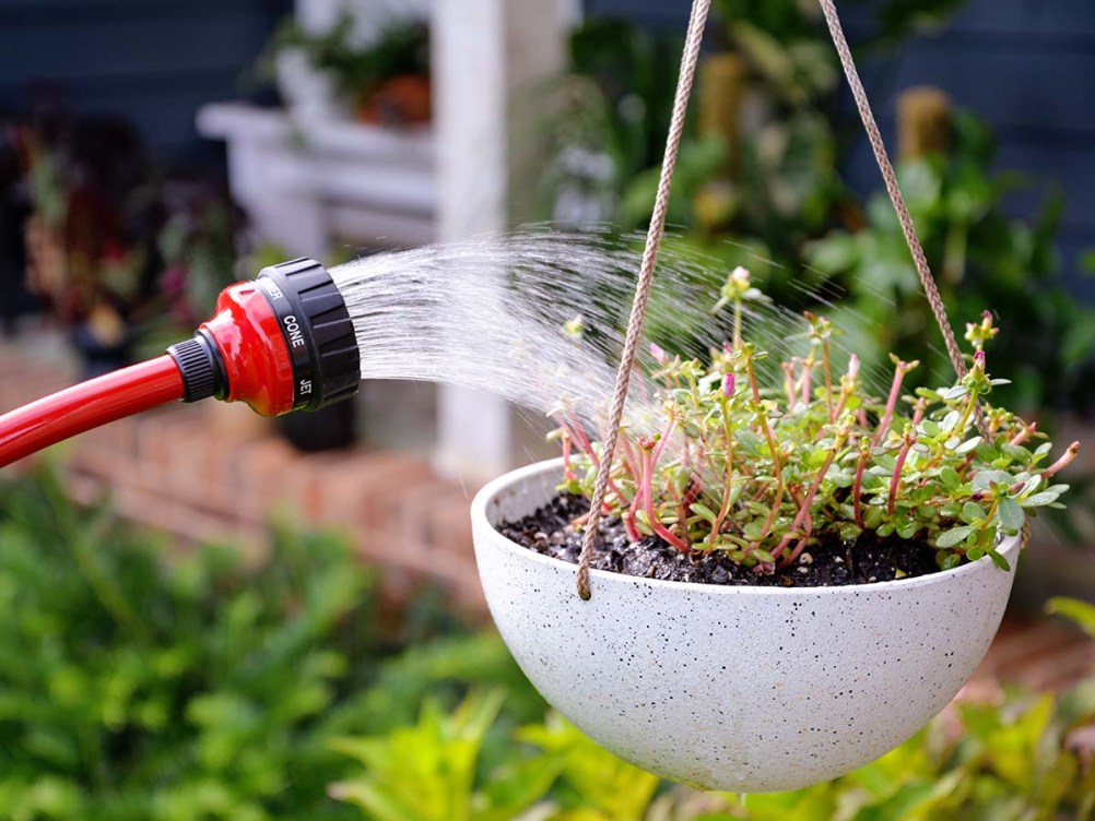 The Best Watering Wands - Tested by Bob Vila