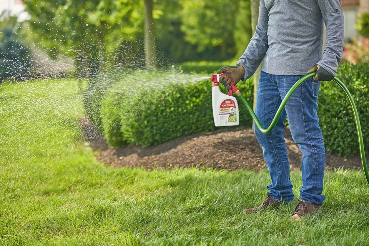 5 Best Tick Sprays for the Yards (Homeowner's Guide)