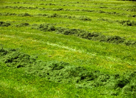 What to Do With Grass Clippings After Mowing - Bob Vila