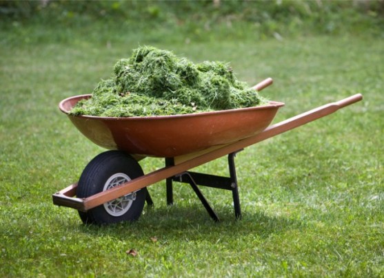 What to Do With Grass Clippings After Mowing - Bob Vila