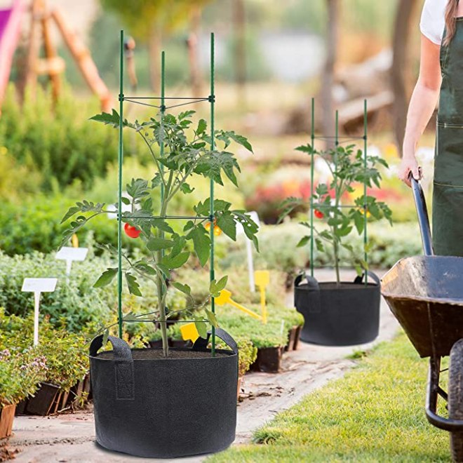 Grow Bag Gardening: Pros and Cons, and How to Get Started - Bob Vila