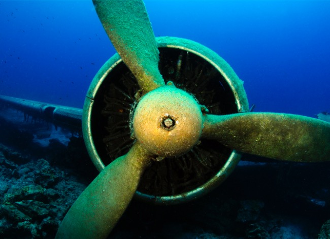 Solved! Does Titanium Rust?