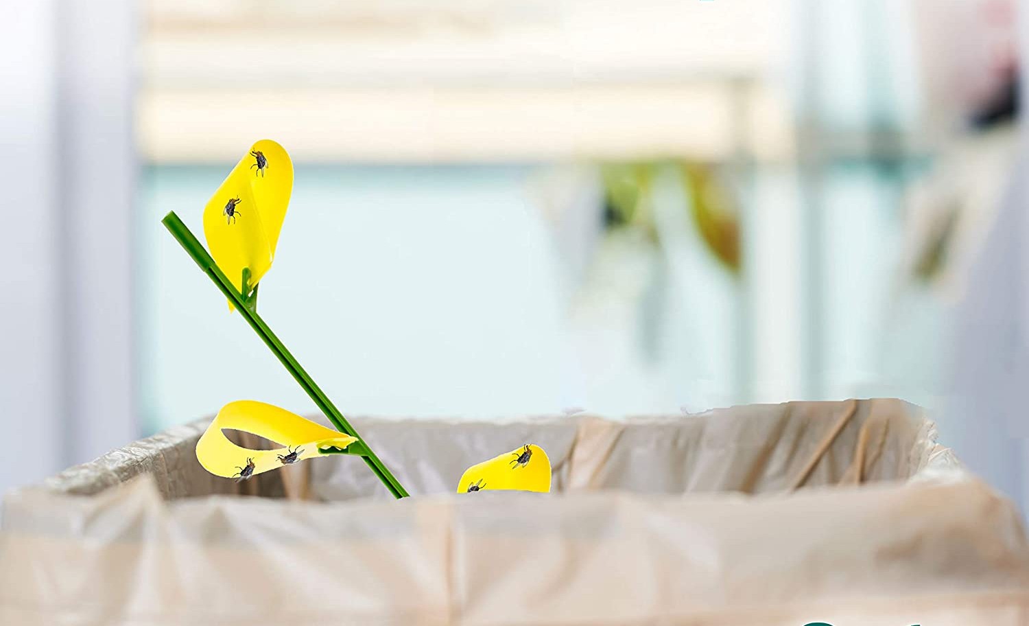 The Best Indoor Bug Zappers - Picks from Bob Vila