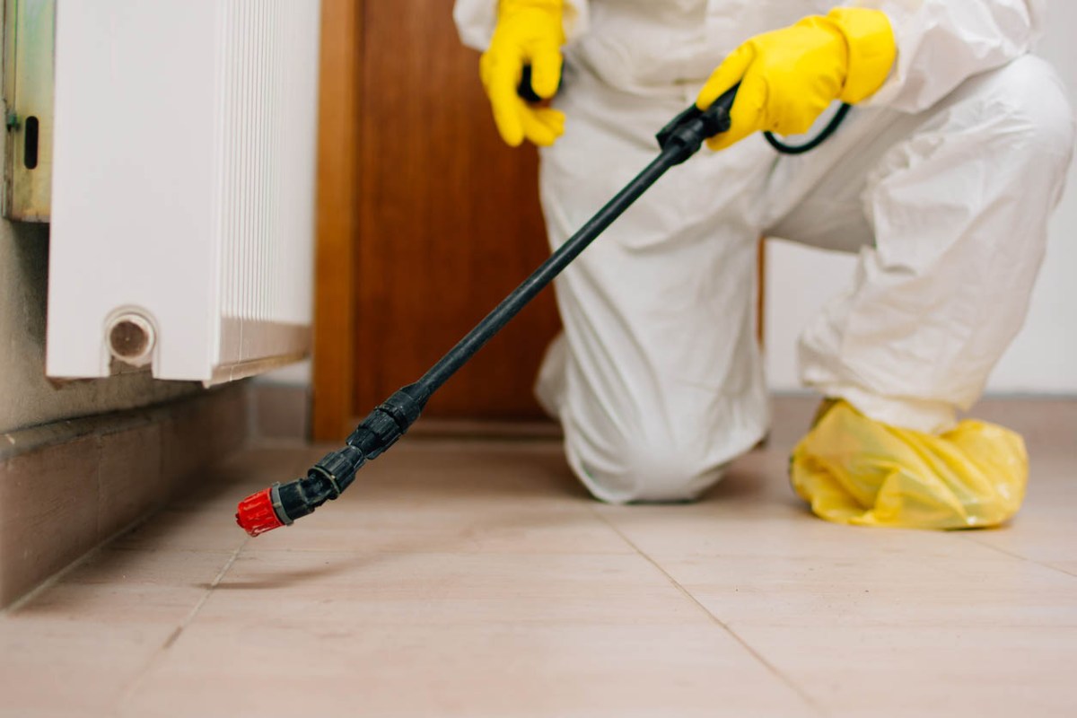 How Much Does an Exterminator Cost? - Bob Vila