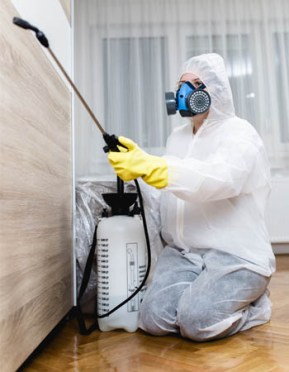 How Much Does an Exterminator Cost? - Bob Vila