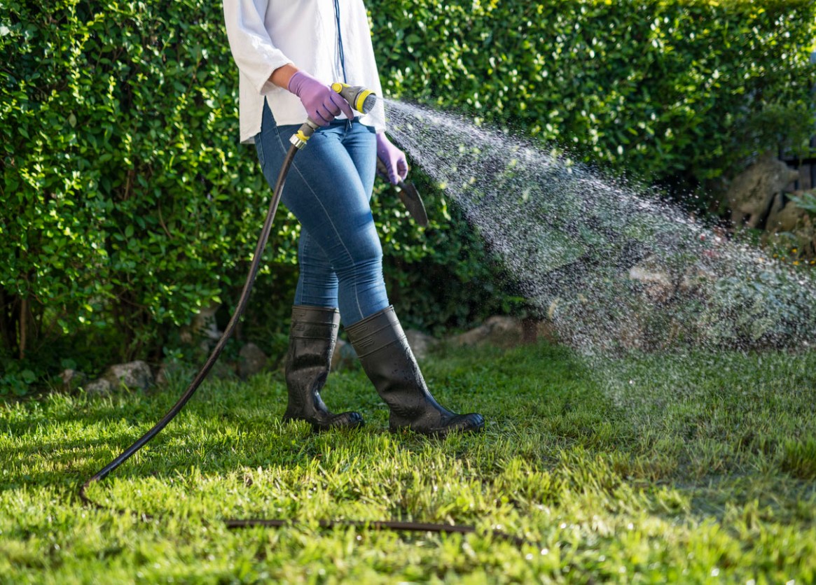 How To Get Rid of Crane Flies From the Home and Garden - Bob Vila
