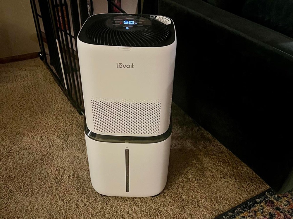 We Tested the Best Humidifier for Large Rooms, See Our Favorite