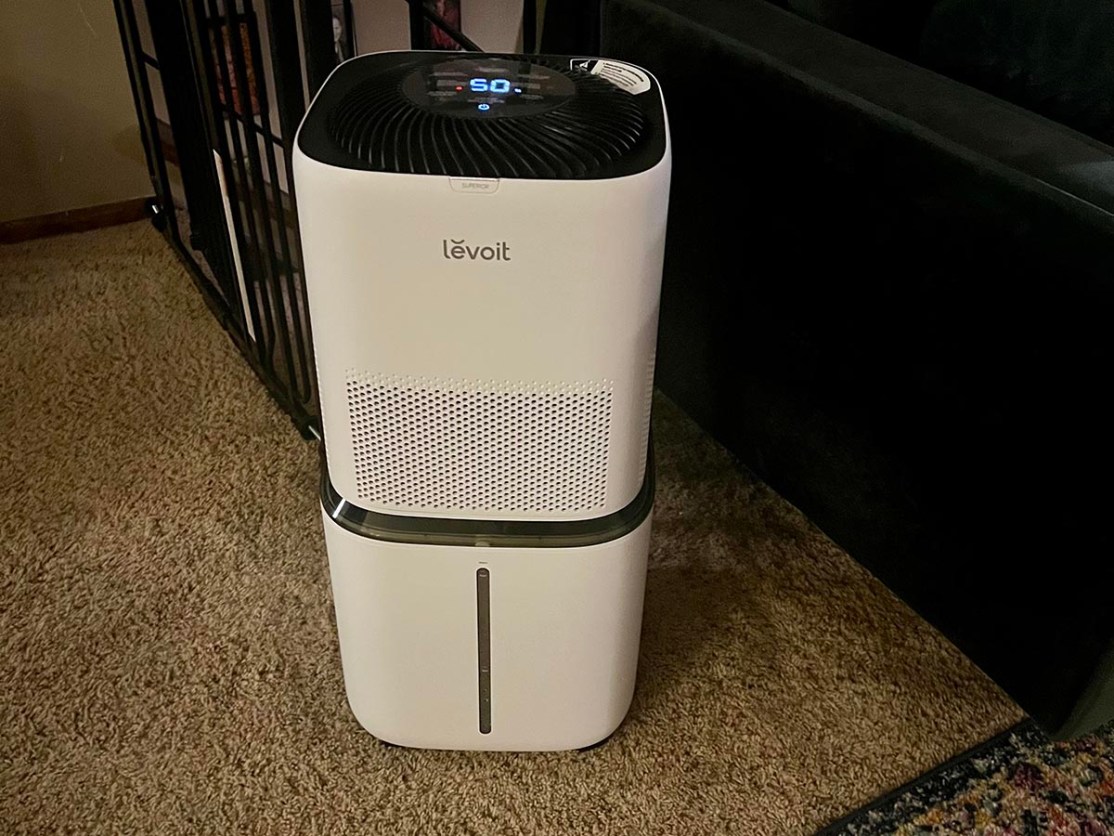 We Tested the Best Humidifier for Large Rooms, See Our Favorite