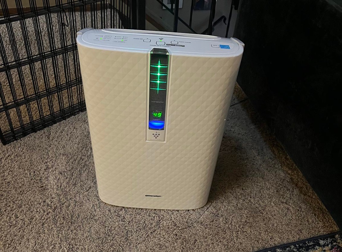 We Tested the Best Humidifier for Large Rooms, See Our Favorite