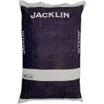 The Best Kentucky Bluegrass Seeds for a Beautiful, Lush Lawn