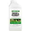 The 10 Best Rabbit Repellents For Gardens