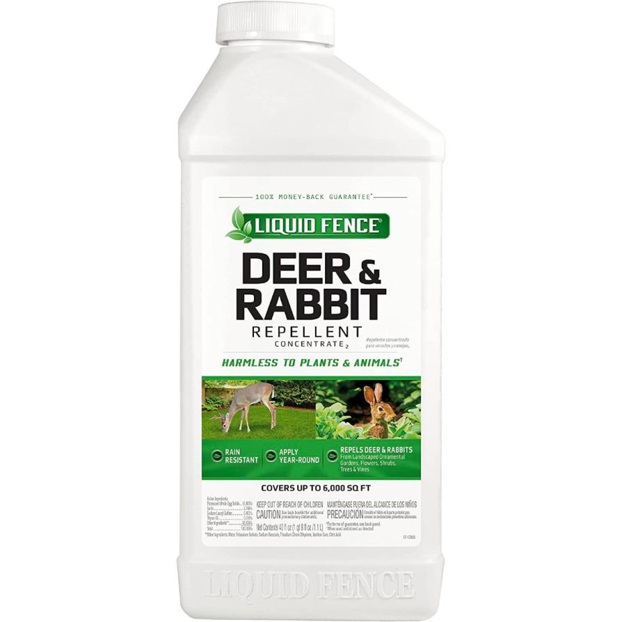The 10 Best Rabbit Repellents For Gardens