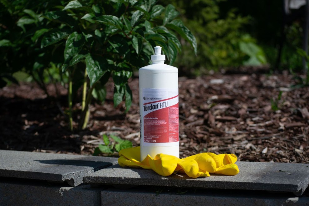 I Used Tordon Herbicide to Kill a Stump—Here's How