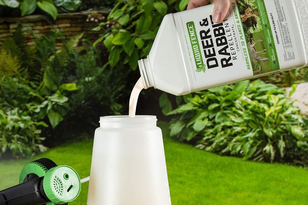 The 10 Best Rabbit Repellents For Gardens