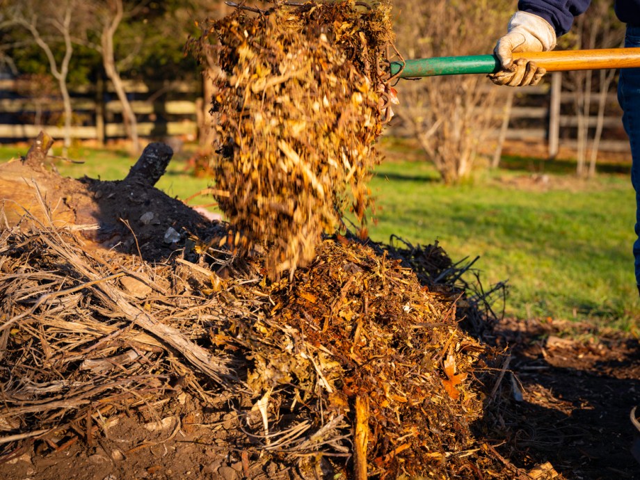 7 Things To Know About Hugelkultur Gardening