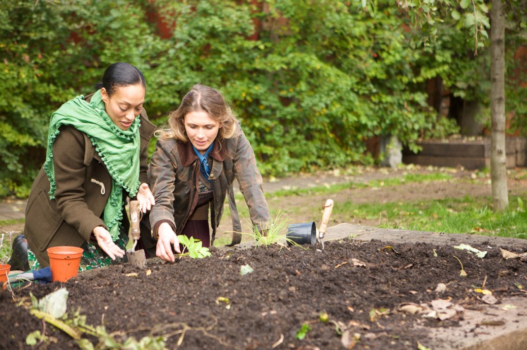 How Soil Amendments Can Improve Your Garden - Bob Vila