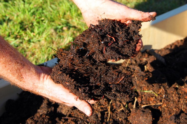 How Soil Amendments Can Improve Your Garden - Bob Vila