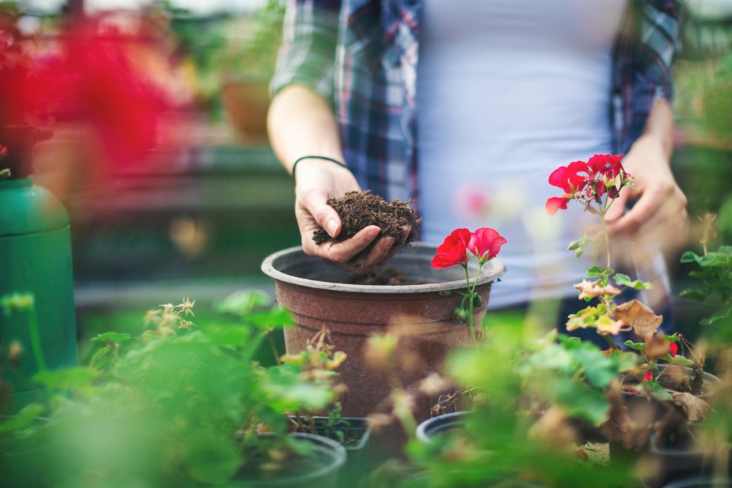 The Dos and Don'ts of DIY Potting Soil