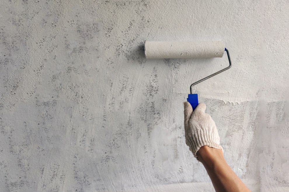 Can You Paint Over Mold?