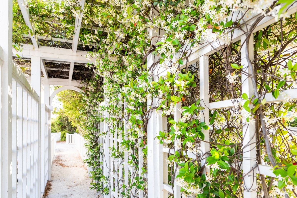 5 Windbreak Ideas That Can Help Conserve Energy at Home
