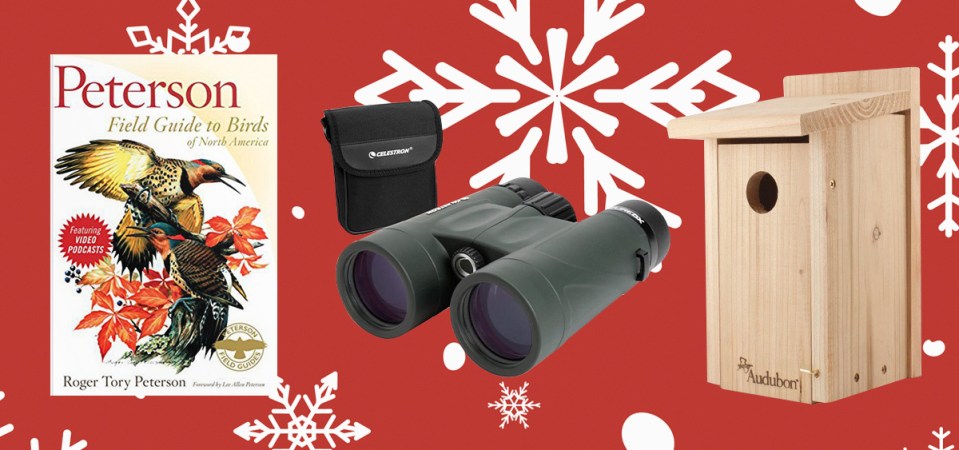 18 Most Useful Gifts for Bird Lovers - Bob Vila
