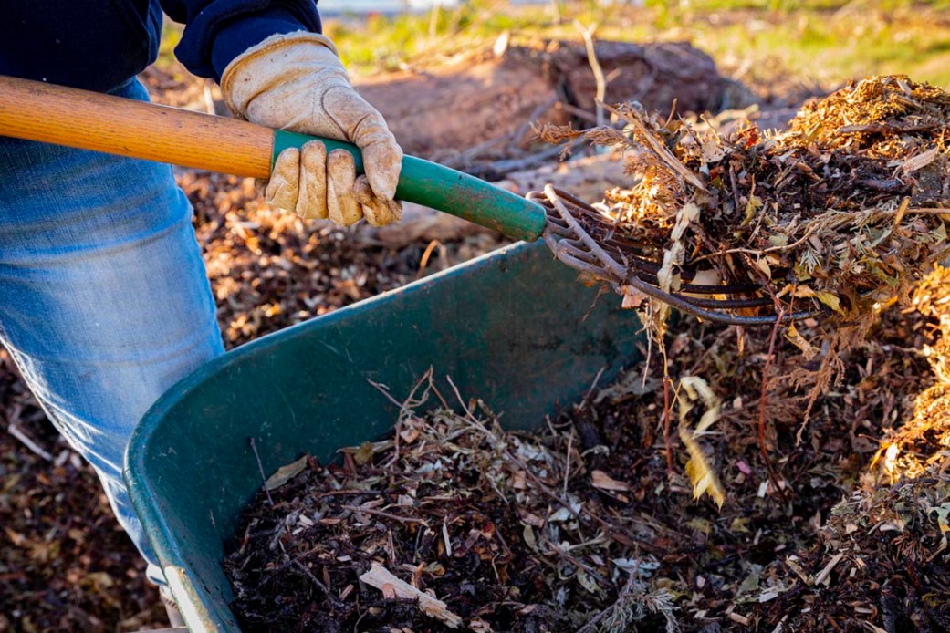 Buying a Yard of Mulch: A Cost and Selection Guide - Bob Vila