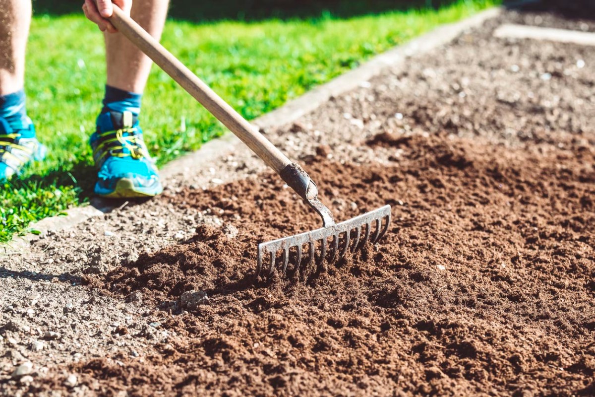 How to Level Ground for a Pool—and When to Hire a Pro