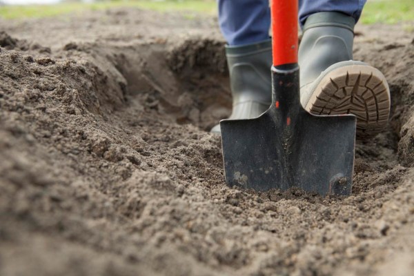 How to Level Ground for a Pool—and When to Hire a Pro