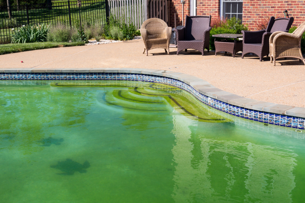 6 Reasons Why Your Pool Is Green—and How to Fix It