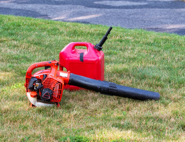 The War on Leaf Blowers: Why Some Communities Are Up in Arms Over the ...