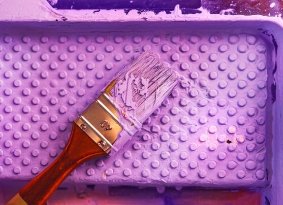 Purple Fence Meaning: It's Not Just for Curb Appeal