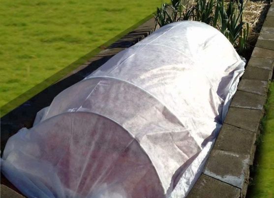 7 Types of Plant Covers All Home Gardeners Should Know - Bob Vila