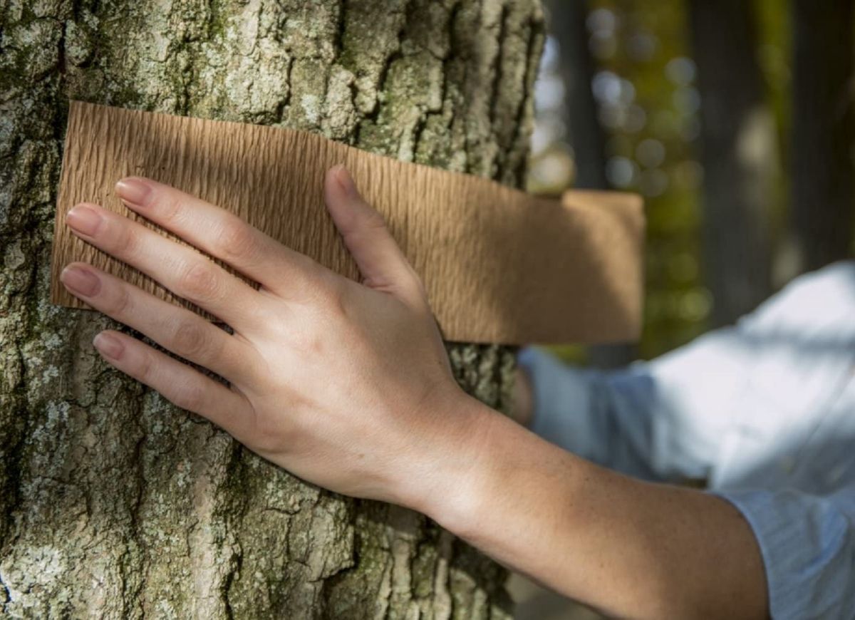 7 Types of Plant Covers All Home Gardeners Should Know - Bob Vila