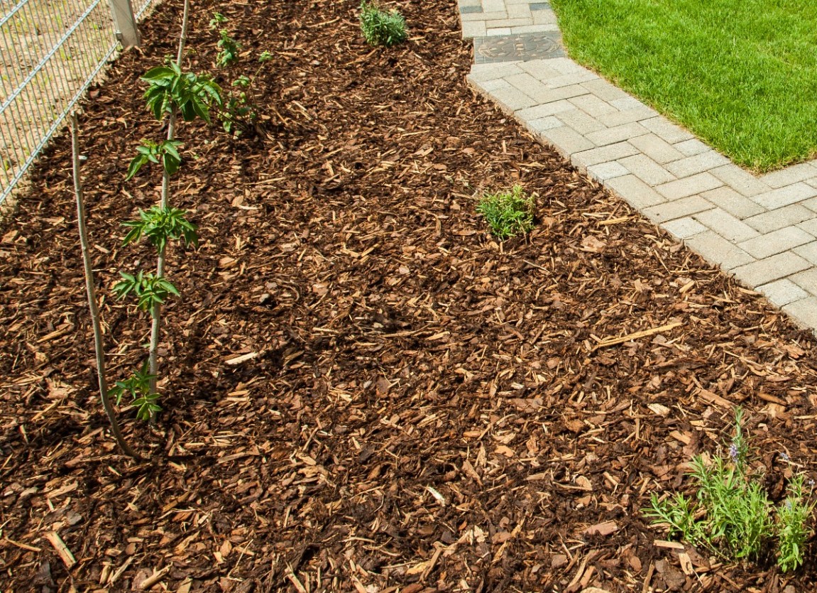 7 Types of Plant Covers That'll Protect Trees and Shrubs From the Cold