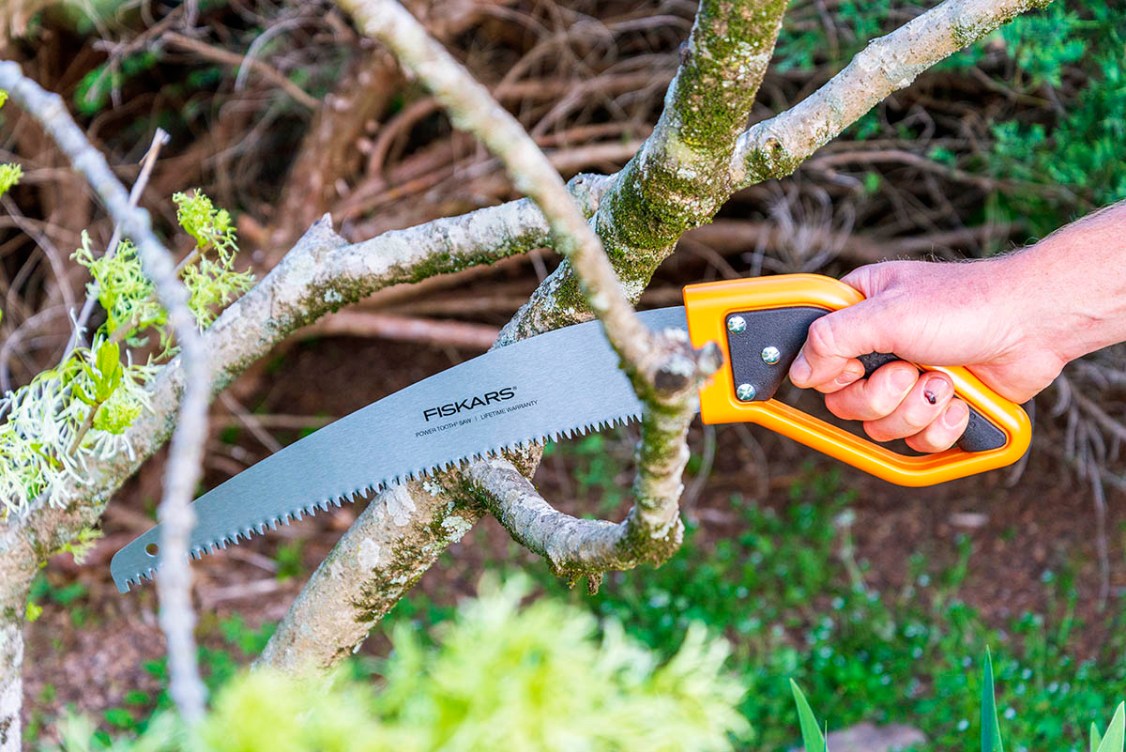 The Best Pruning Saws - Tested by Bob Vila