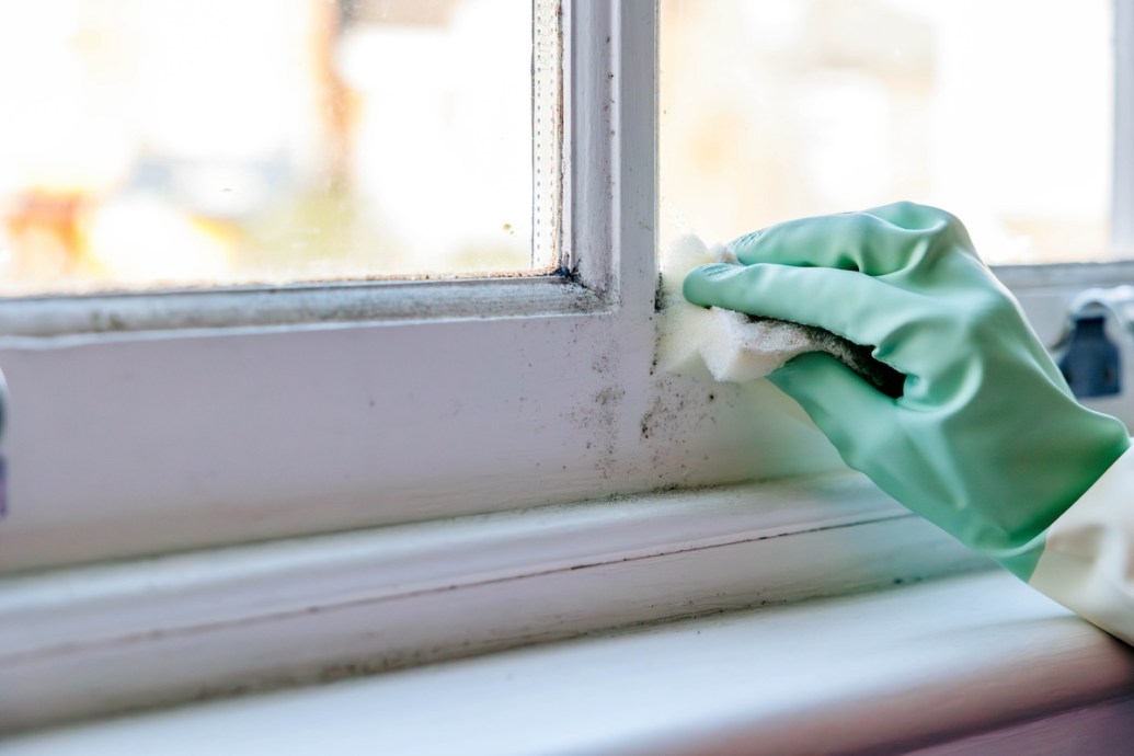 How to Clean Mold on a Windowsill
