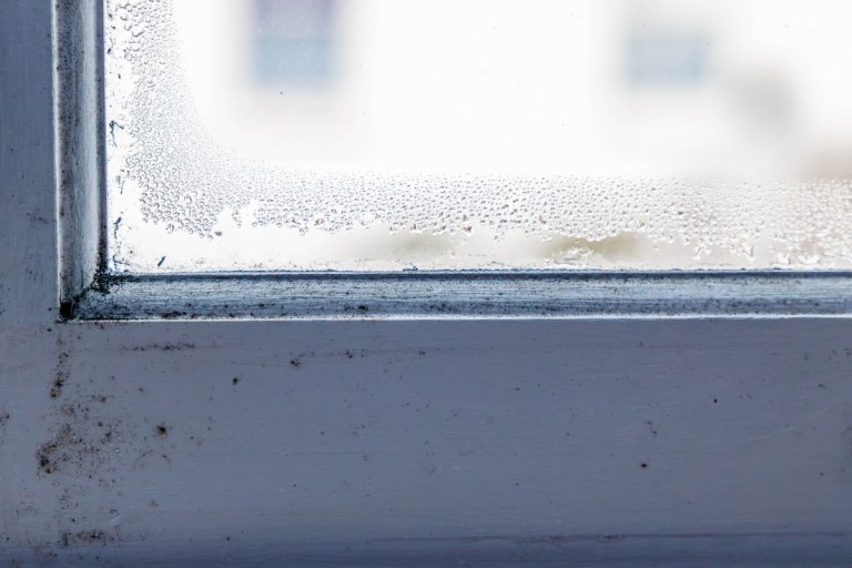 How to Clean Mold on a Windowsill