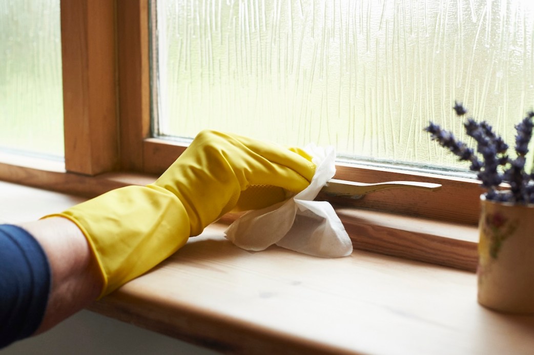 How to Clean Mold on a Windowsill