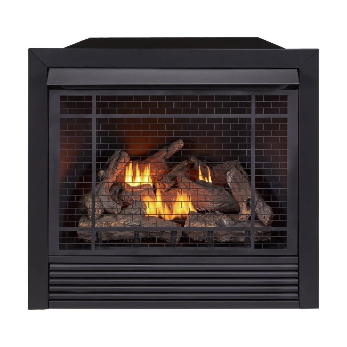 The Best Gas Fireplace Inserts Top Picks - Bob Vila