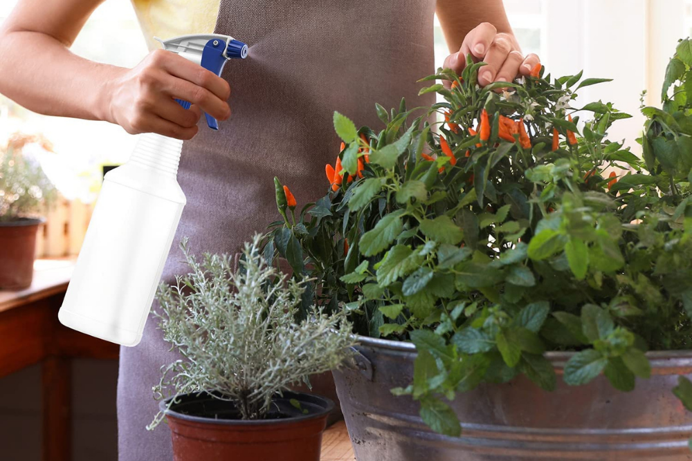 The 15 Best Plants for Rock Gardens - Bob Vila