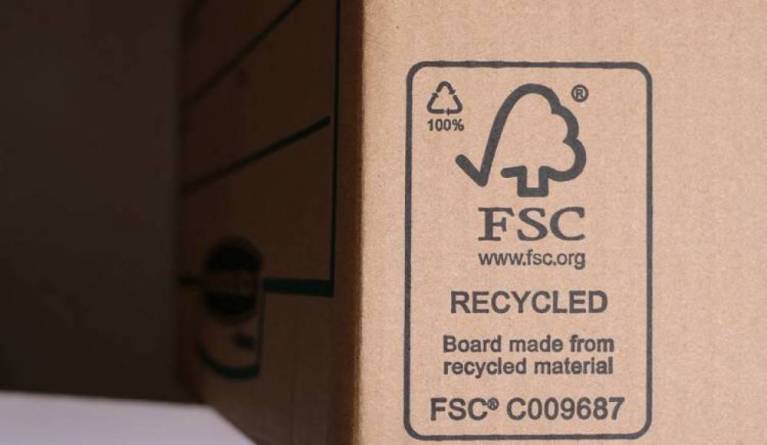 What Is FSC-Certified Wood, and Should I Buy It? - Bob Vila
