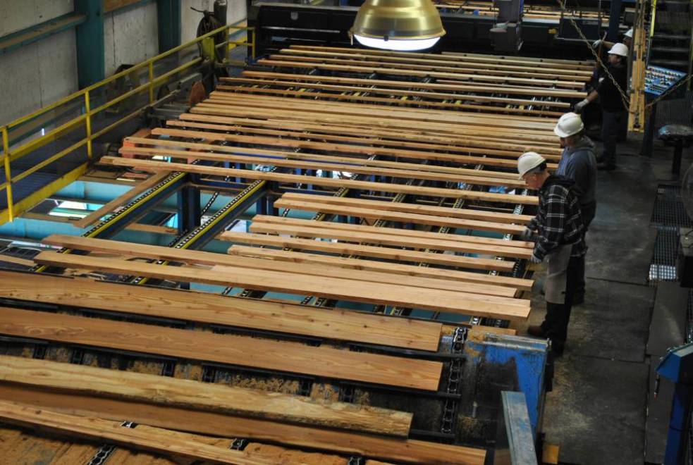 What Is FSC-Certified Wood, and Should I Buy It? - Bob Vila