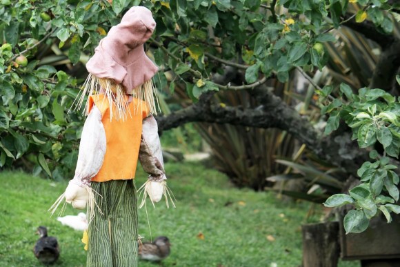 How to Get Rid of Geese—and Keep Them From Coming Back