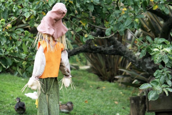 How to Get Rid of Geese—and Keep Them From Coming Back