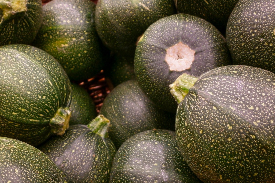 12 Types of Squash All Home Gardeners Should Know - Bob Vila